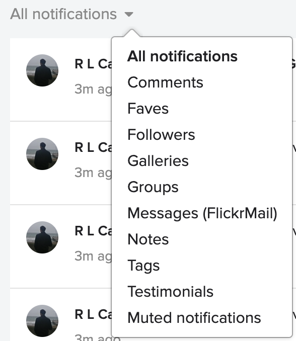 Get Flickr notifications by email and in your account – Flickr Help Center