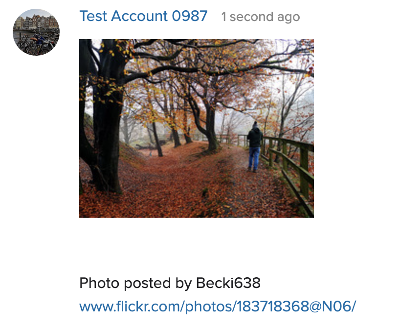 Flickr group discussions – Flickr Help Center